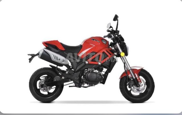 Cimatti monster | Motos à Meknès | Avito.ma | undefined