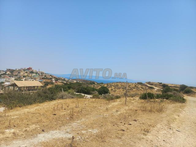 Terrain et ferme en Vente à Tanger | Terrains et fermes à Tanger | Avito.ma