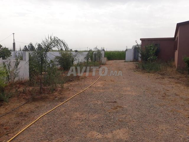 Maison de compagne titrée 1 ha 30 ar Benslimane | Terrains et fermes à ...