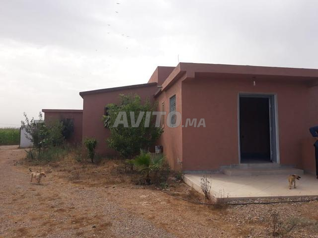 Maison de compagne titrée 1 ha 30 ar Benslimane | Terrains et fermes à ...