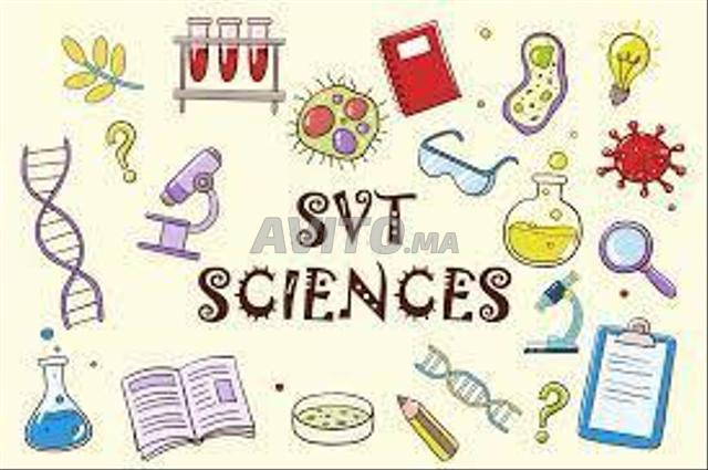 Cours svt tout niveau | Demandes d'emploi à Temara | Avito.ma | undefined