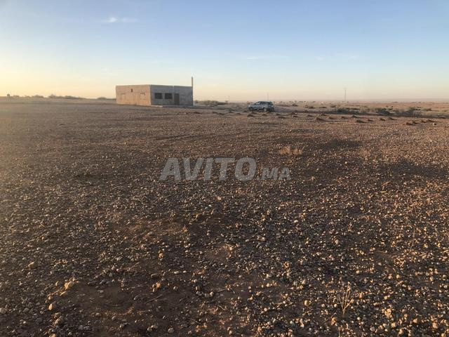 Terrain et ferme en Vente à Settat | Terrains et fermes à Settat | Avito.ma