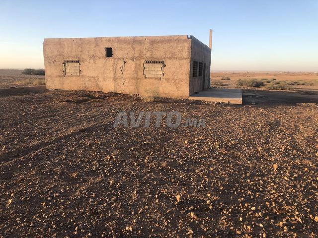 Terrain et ferme en Vente à Settat | Terrains et fermes à Settat | Avito.ma