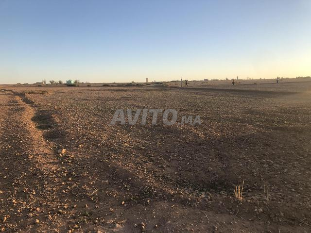 Terrain et ferme en Vente à Settat | Terrains et fermes à Settat | Avito.ma