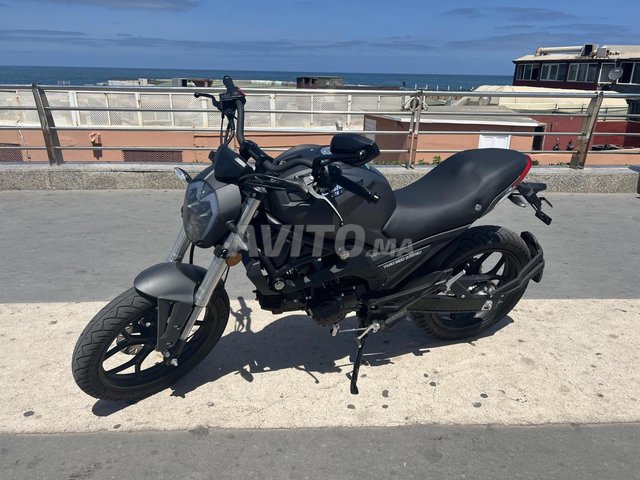 Cimatti Monster | Motos à Casablanca | Avito.ma