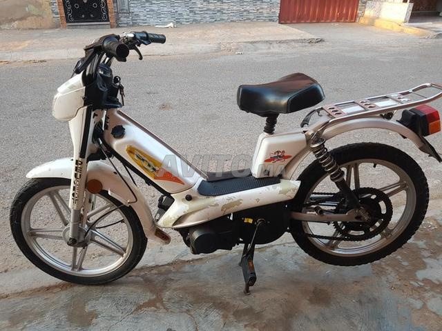 Motor FOX | Motos à Safi | Avito.ma