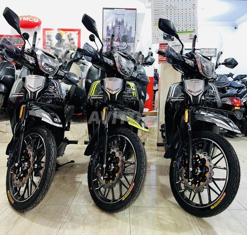 Becane Sh Riberio 33 Spring X 29 | Motos à Marrakech | Avito.ma