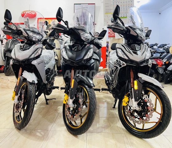 Becane Sh Riberio 33 Spring X 29 | Motos à Marrakech | Avito.ma