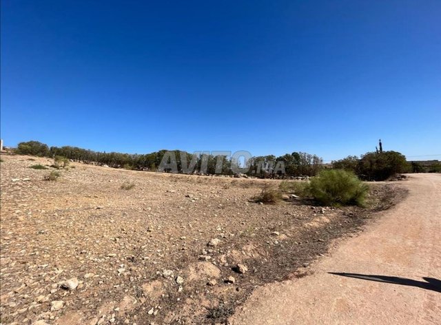 Terrain route de Tlat bogadra | Terrains et fermes à Safi | Avito.ma