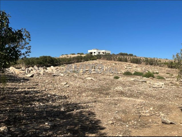 Terrain route de Tlat bogadra | Terrains et fermes à Safi | Avito.ma