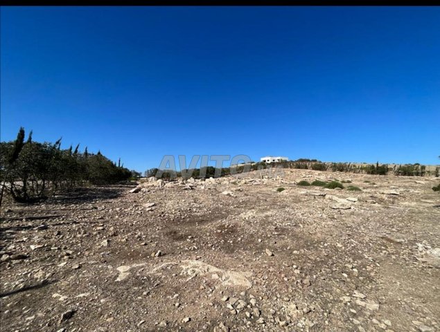 Terrain route de Tlat bogadra | Terrains et fermes à Safi | Avito.ma