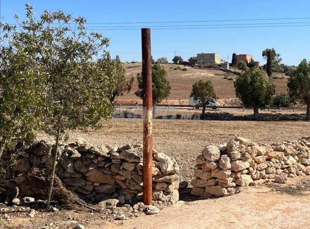 Terrain route de Tlat bogadra | Terrains et fermes à Safi | Avito.ma