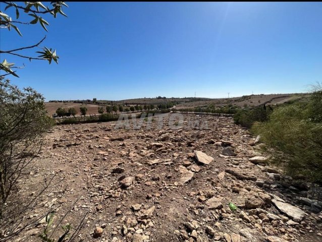 Terrain route de Tlat bogadra | Terrains et fermes à Safi | Avito.ma