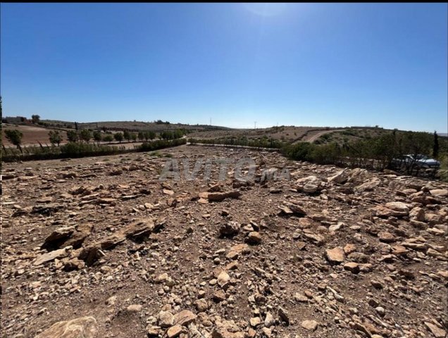 Terrain route de Tlat bogadra | Terrains et fermes à Safi | Avito.ma