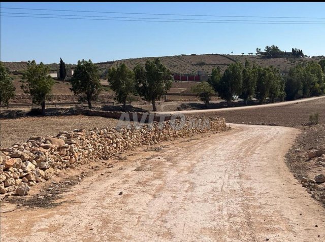 Terrain route de Tlat bogadra | Terrains et fermes à Safi | Avito.ma