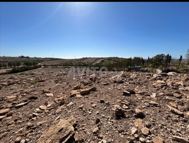 Terrain route de Tlat bogadra | Terrains et fermes à Safi | Avito.ma