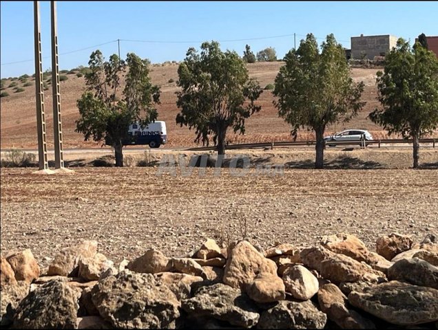 Terrain route de Tlat bogadra | Terrains et fermes à Safi | Avito.ma