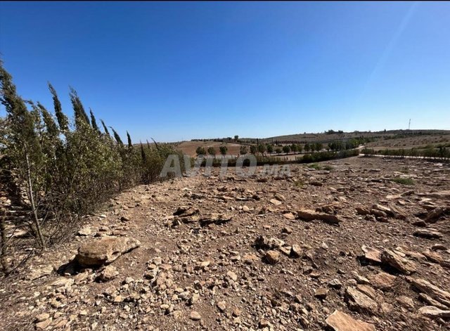 Terrain route de Tlat bogadra | Terrains et fermes à Safi | Avito.ma