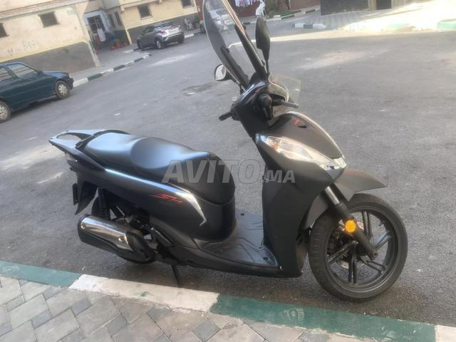 Découvrez 8 annonces pour Motos sh_300_sport à vendre - Avito | Avito ...