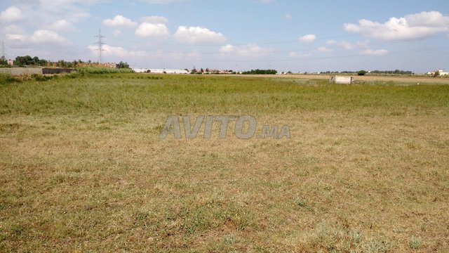 Ferme à vendre entre Ain Aouda et Rabat | Terrains et fermes à Ain ...