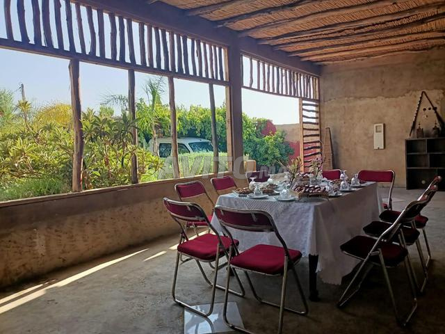 Ferme 12000m2 titre tiflet hajjama | Terrains et fermes à Salé | Avito.ma