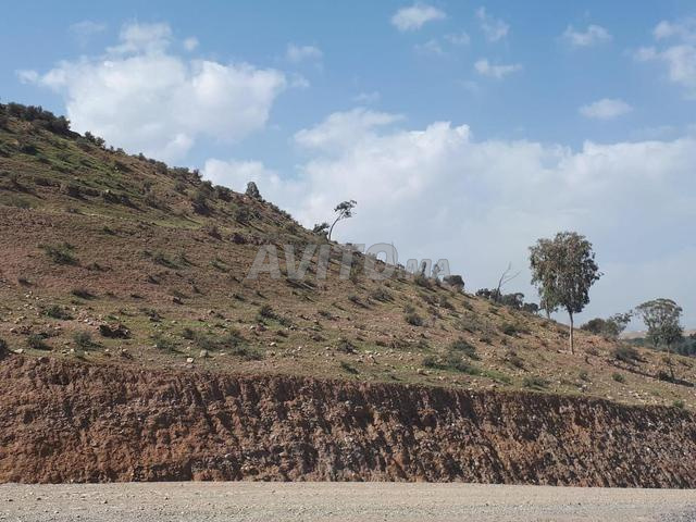 TERRAIN MARRAKECH EN VENTE 2 HECTARE-MILKYA- | Terrains et fermes à ...