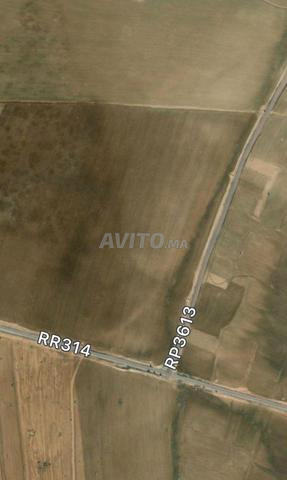 Terrains de 60 hectares angle à 15 dhs le metre | Terrains et fermes à ...