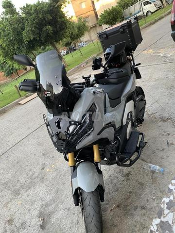 moto | Motos à Tanger | Avito.ma