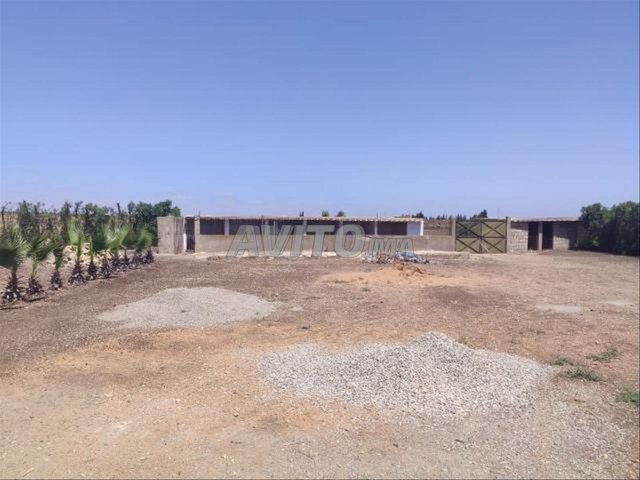 VEND VILLA ET TERRAIN TITREE OULED SALEH BOUSKOURA | Villas et Riads à ... VEND VILLA ET TERRAIN TITREE OULED SALEH BOUSKOURA | Villas et Riads à ...