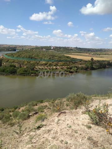 Terrain exceptionnel 2ha vue sur Oued Oum errabii | Terrains et fermes ...