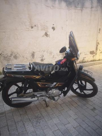 moto | Motos à Tanger | Avito.ma