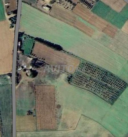 Terrain agricole 4873 m² région Sidi Abd Razzak K... | Terrains et ...