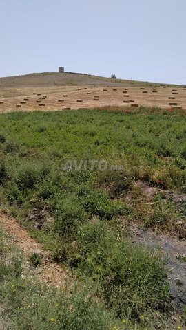 Ferme de 2 hectares avec maison et dépendances | Terrains et fermes à ...