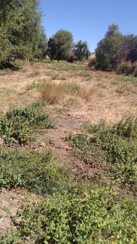 Ferme de 2 hectares avec maison et dépendances | Terrains et fermes à ...