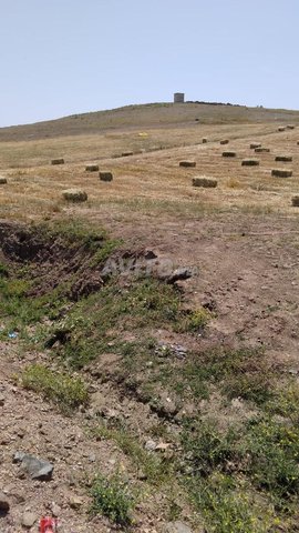 Ferme de 2 hectares avec maison et dépendances | Terrains et fermes à ...