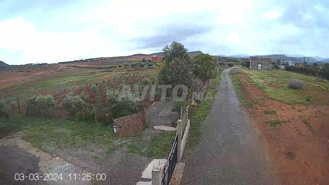 TERAIN AGRICOLE AVEC MAISON NEUF DE 2017 | Terrains et fermes à Berkane ...