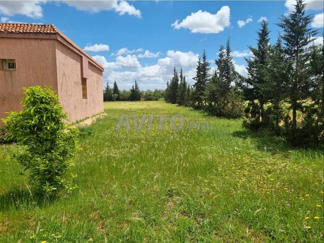 Ferme titrée à vendre à Sidi Bderazzak tiflet | Terrains et fermes à ...