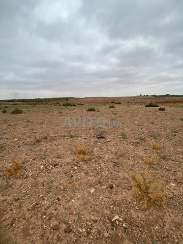 Terrain de 40 Ha a vendre sur la route d'amizmiz | Terrains et fermes à ...