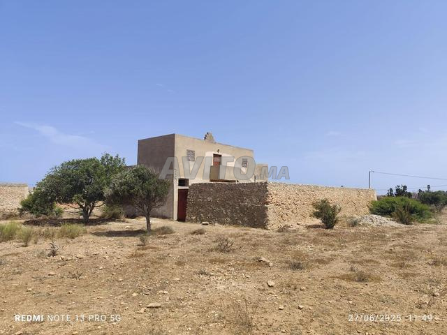 Terrain agricole à vendre Safi route lala fatna | Terrains et fermes à ...