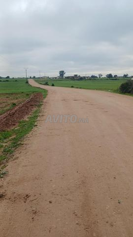 Terrain à vendre sur la route | Terrains et fermes à Bir Jdid | Avito.ma