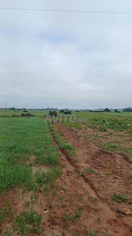Terrain à vendre sur la route | Terrains et fermes à Bir Jdid | Avito.ma