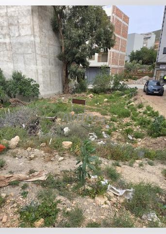 Terrain titré à Tifart Tala Youssef Al Hoceima | Terrains et fermes à ...