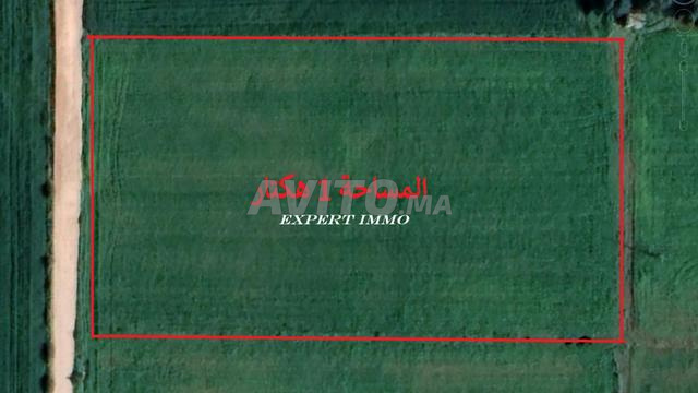 Terrains titrés de différentes superficies aux en... | Terrains et ...