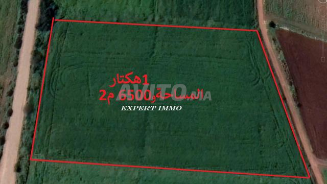 Terrains titrés de différentes superficies aux en... | Terrains et ...