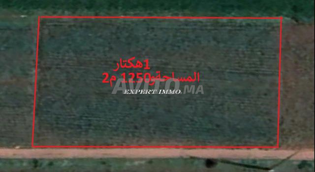 Terrains titrés pour habitation et investissement... | Terrains et ...