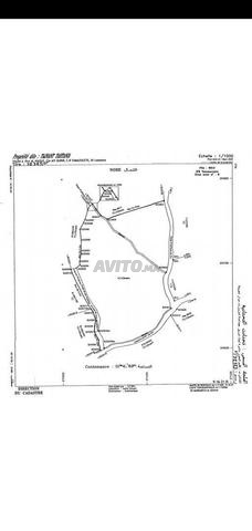 Douar El Ouina, Commune Tamazouzt, 24 km Marrakech | Terrains et fermes ...