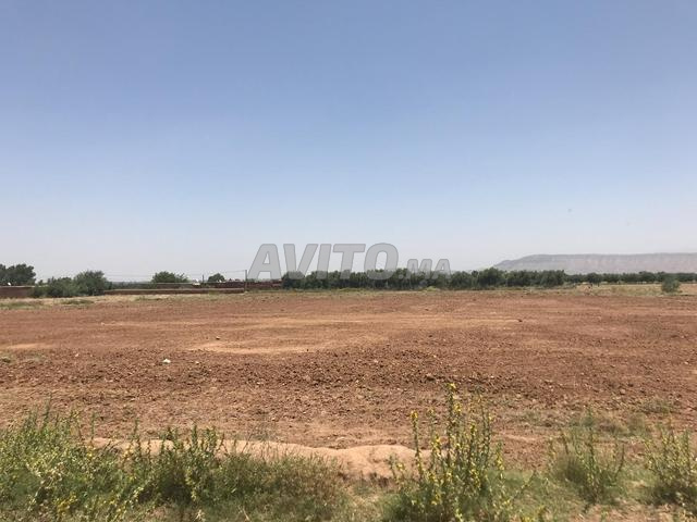 Annonces de Terrains et Fermes chouiter à Marrakech à_vendre - Avito | IMMO