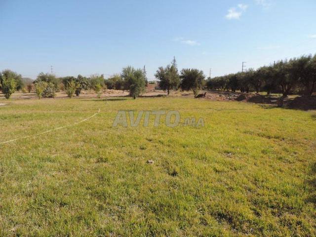 90 Marrakech route : Découvrez 4 annonces à vendre - Avito