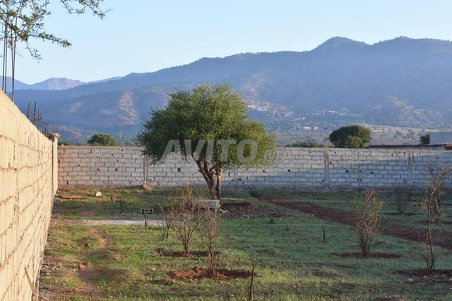 Eddir : Découvrez 7 annonces à vendre - Avito