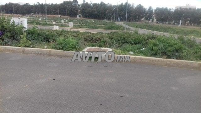 Annonces de Terrains et Fermes al mountazah à Meknès à_vendre - Avito ...